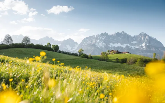 A Walk on the Wilder Side | Multi-day Hiking in the Wilder Kaiser ...